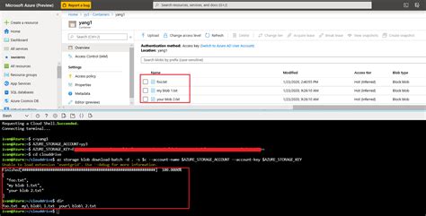 How To Correctly Grab Blob Names With Whitespaces In Azure From Az Cli