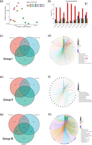 Integrated Transcriptomic And Lipidomic Analysis Provides Key Insights