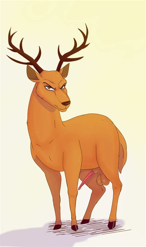 Rule 34 Absurd Res Animal Genitalia Animal Penis Balls Beastars