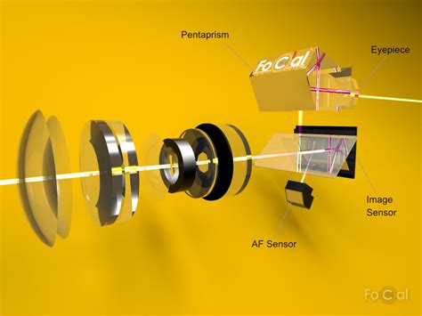 Why Calibrate Your Camera Autofocus