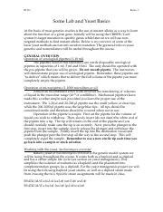Basic Yeast Genetics 2021 Pdf BI 513 Basics 1 Some Lab And Yeast Basics At The Basis Of Most