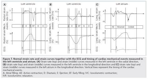 Strain Rate Imaging Fundamental Principles And Progress So Far