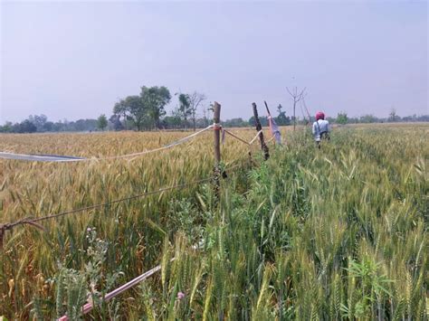 The Reality Behind A Machine Learning Dataset Part 2 Practical