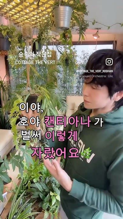 식물키우기 필수템 친환경 토양살충제 식물집사 로지한 Youtube