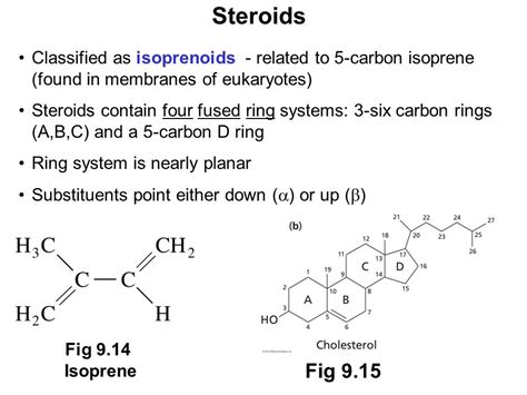 Chapter 9 Lipids And Membranes Ppt Video Online Download