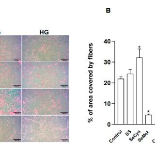 The Structure Of Selenium Compounds Tested Is This Work Download Scientific Diagram