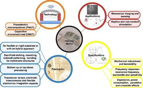 Engineers Explore The Potential Of Flexible Micromachined Ultrasound Transducers Axis Imaging News