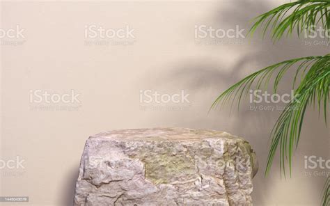 3d 렌더링 돌 거친 판 개체 디스플레이 연단 야자수 잎 배경 제품용 스톡 사진 돌 건축자재에 대한 스톡 사진 및 기타 이미지 돌 건축자재 강단 건설 플랫폼 Istock
