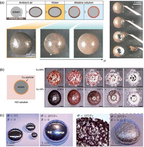 Liquid Metal Droplet Dynamics Zhao 2024 Droplet Wiley Online