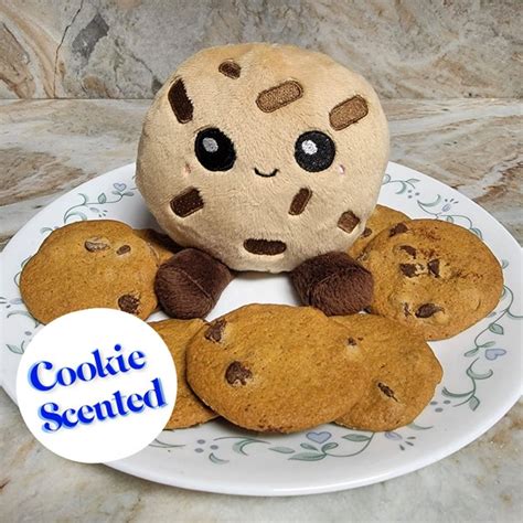 Burning Spice Cookie Plush Etsy
