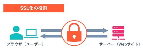 CMSのセキュリティ対策はなぜ必要仕組み上運用上のリスクと対策を解説