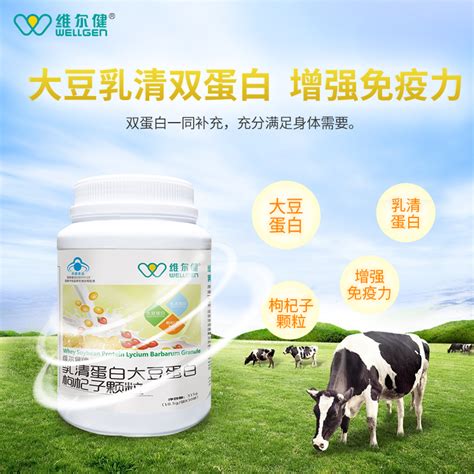 维尔健枸杞乳清大豆蛋白质粉增强免疫力营养无糖药房批发零售专用 虎窝淘
