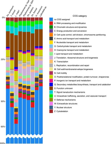 Functional Classification Of Trypanosomatid Proteins According To