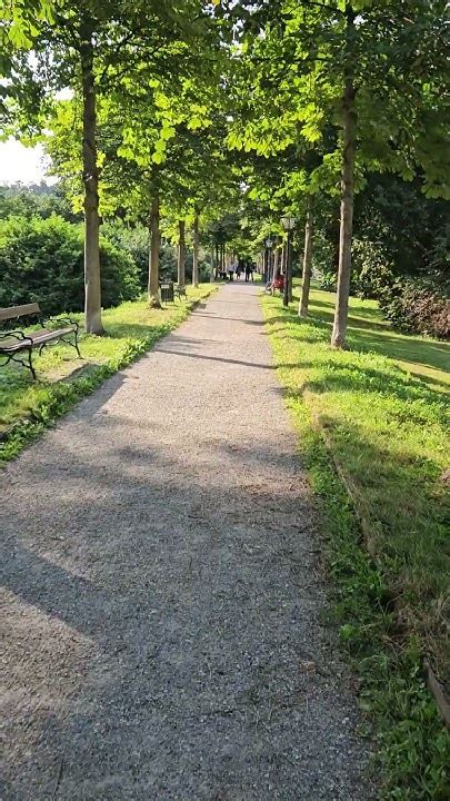 sunset in a park in graz austria youtube