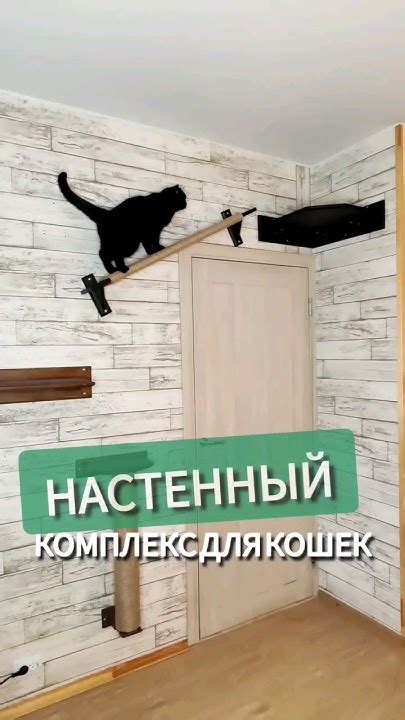 Настенные комплексы для кошек от Catkit Нравятся кошкам экономят место долго служат Youtube