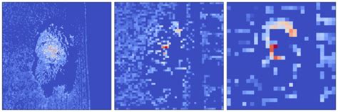 Guided Backpropagation From Scratch With Pytorch Hooks A Data Odyssey