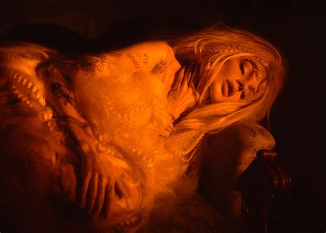 Sorry For Being So Sexy Catmint Nasty Magazine