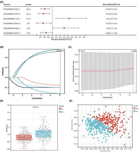 Identification Of Representative Prognostic Genes And Pca Analysis A