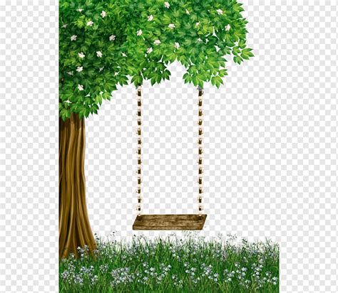Tree Swing Png Tree Swing PNG Images Transparent Tree Swing Image