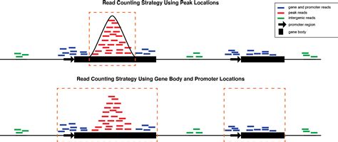 Computational Integration Of Heterogeneous Single Cell Datasets