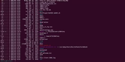 Alat Terminal Linux Penting Yang Sebaiknya Diinstal Setelah Instalasi Baru Ahla Home