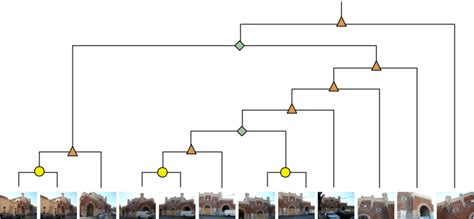 An Example Of A Dendrogram For A 12 Image Set The Circle Corresponds Download Scientific