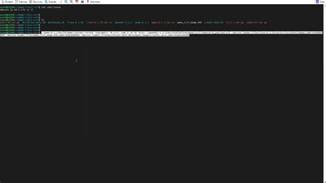 A Small Linux System For Risc V Rv64 On Qemu 1 Boot From Opensbi To Kernel Youtube
