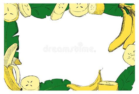 Graphic Rectangle Frame With Banana Tree Leaves And Bananas Slices Vector Hand Drawn Botanical