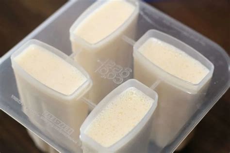 Smores Ice Cream Popsicles A Fun Frozen Twist On A Campfire Classic