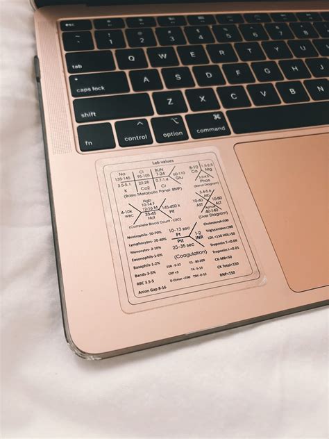 Your Comprehensive Guide To Normal Lab Values Lab Value Sticker For Quick Reference Etsy