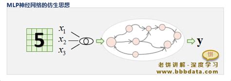 一步一步了解mlp神经网络多层感知机的模型结构详述 老饼讲解