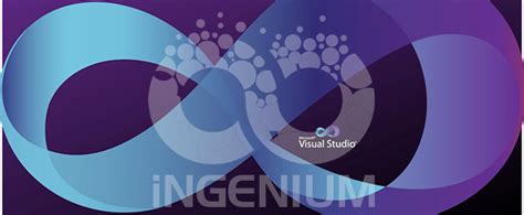 Installing Visual Studio 2012 Express Edition InGenium Web