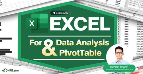 Excel For Data Analysis And Pivottable คอร์สออนไลน์ Skilllane