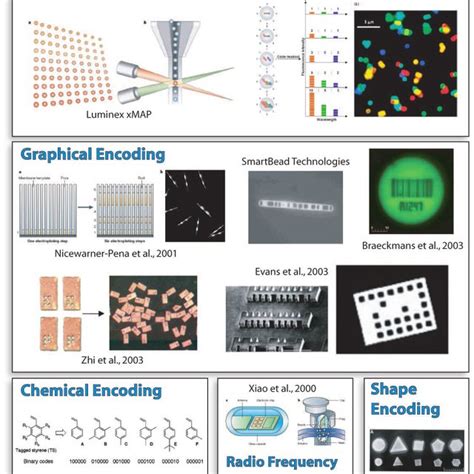 4 Methods For Particle Encoding Shown Are Examples Of Download Scientific Diagram