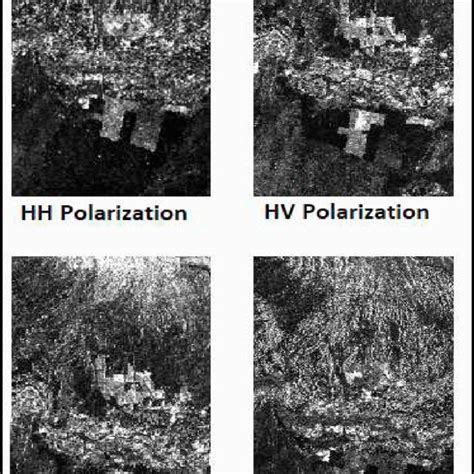 Polarization Types Of The Same Land Area Download Scientific Diagram