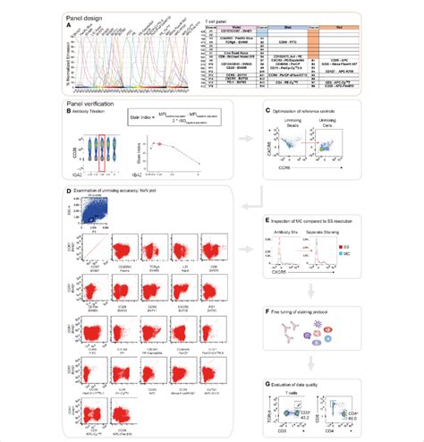Schematic Illustration Of The Workflow For Panel Design And Download Scientific Diagram