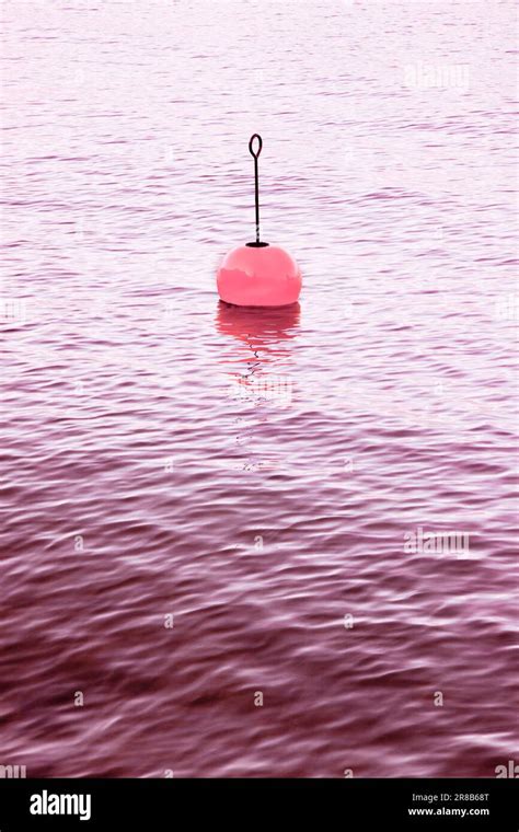 Isolated Plastic Red Bouy On A Calm Water Concept Image With Copy
