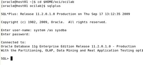 Develop C And C Applications With Oracle Database 11g Using Oci