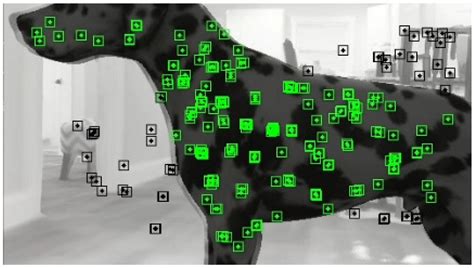 Doe Slam Dynamic Object Enhanced Visual Slam