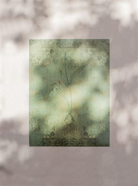 Unicidade Sofia Dinis