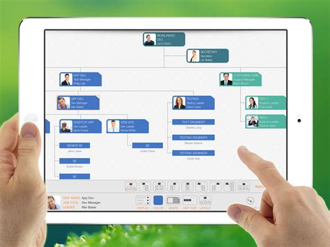 Orgchart Organization Chart