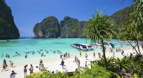 Isole Phi Phi Cosa Vedere 8 Cose Migliori Da Fare Alle Isole Phi Phi