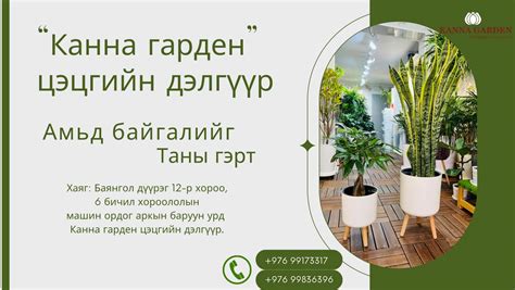 Цэцэгчин Ээжүүд таримал цэцгийн дэлгүүр Цэцэгт мэндчилгээ Цэцэг хүргэлт Цэцэгчин Ээжүүд