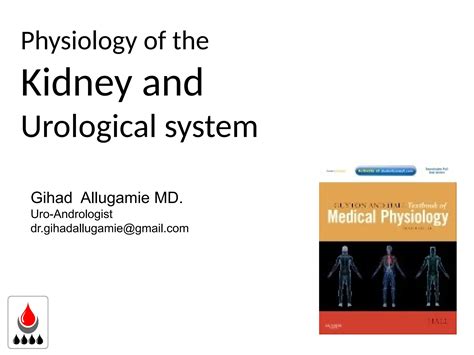 Urinary System Physiology Principlesppsx