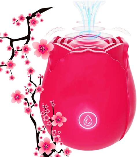 Amazon Com Upgrade Clitoralis Stimulator For Women Toy Sex Quiet Speed Adult Toys