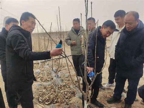 甘州区林投公司春季修剪正当时 剪出果树精气神