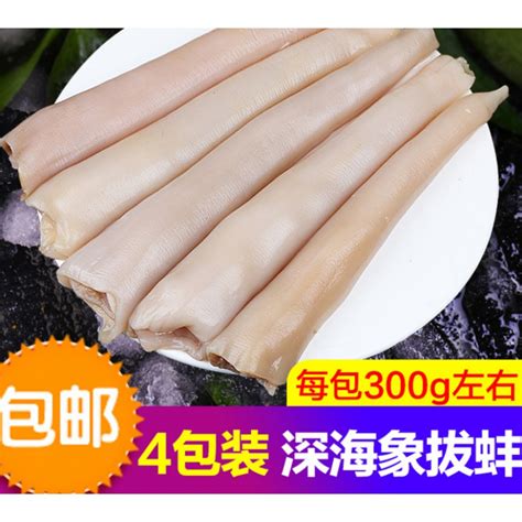 象拔蚌的功效与作用