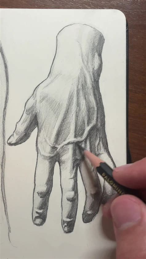 Veiny Arms Sketch