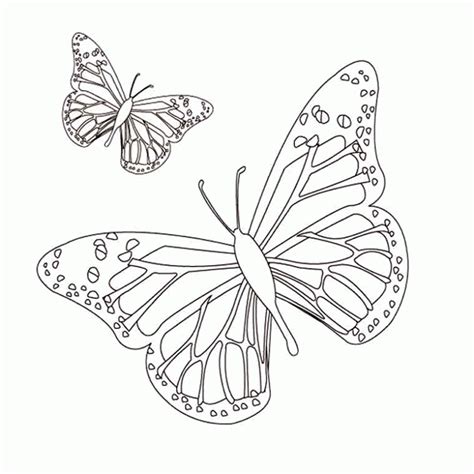 Mariposas Para Calcar 16 Fotos E Imágenes Gratis Imagui
