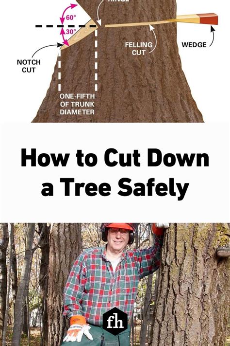 How To Cut Down A Tree Safely Artofit